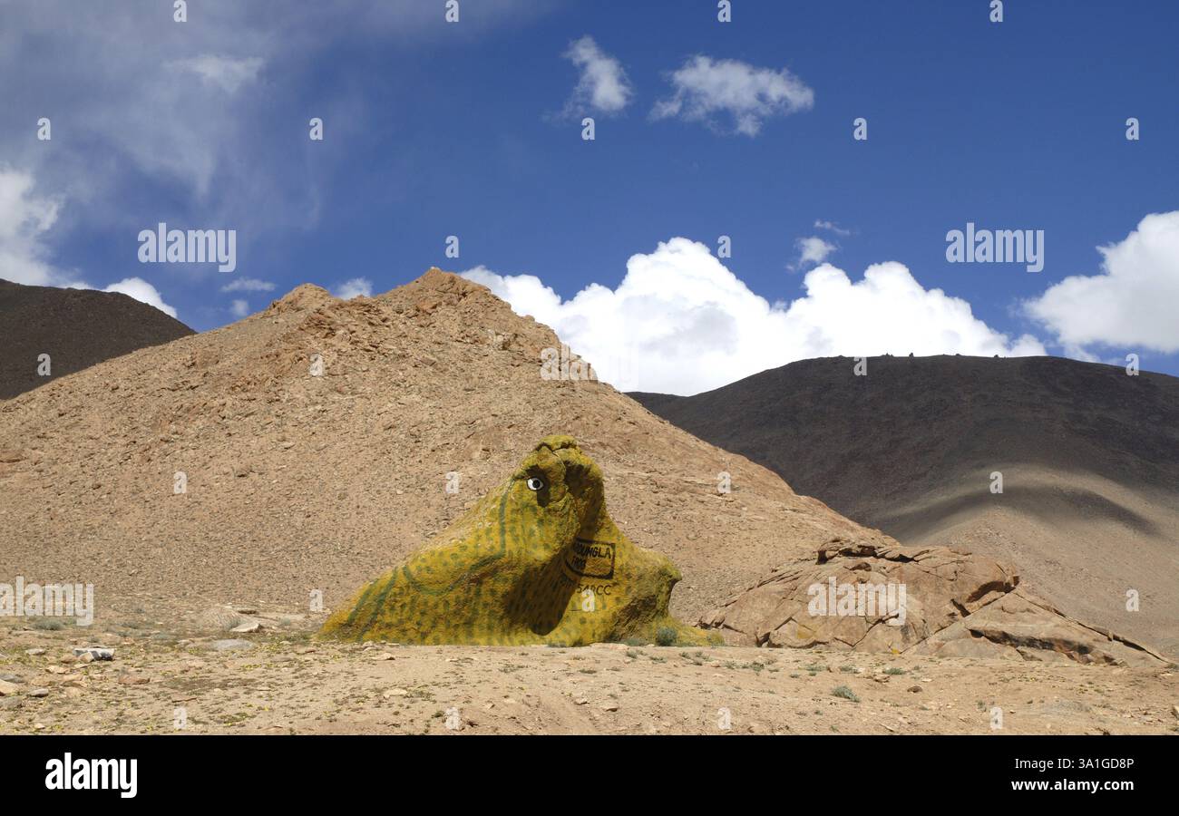 Rock painted by military as frog at Khardungla, Ladakh, Jammu & Kashmir ...