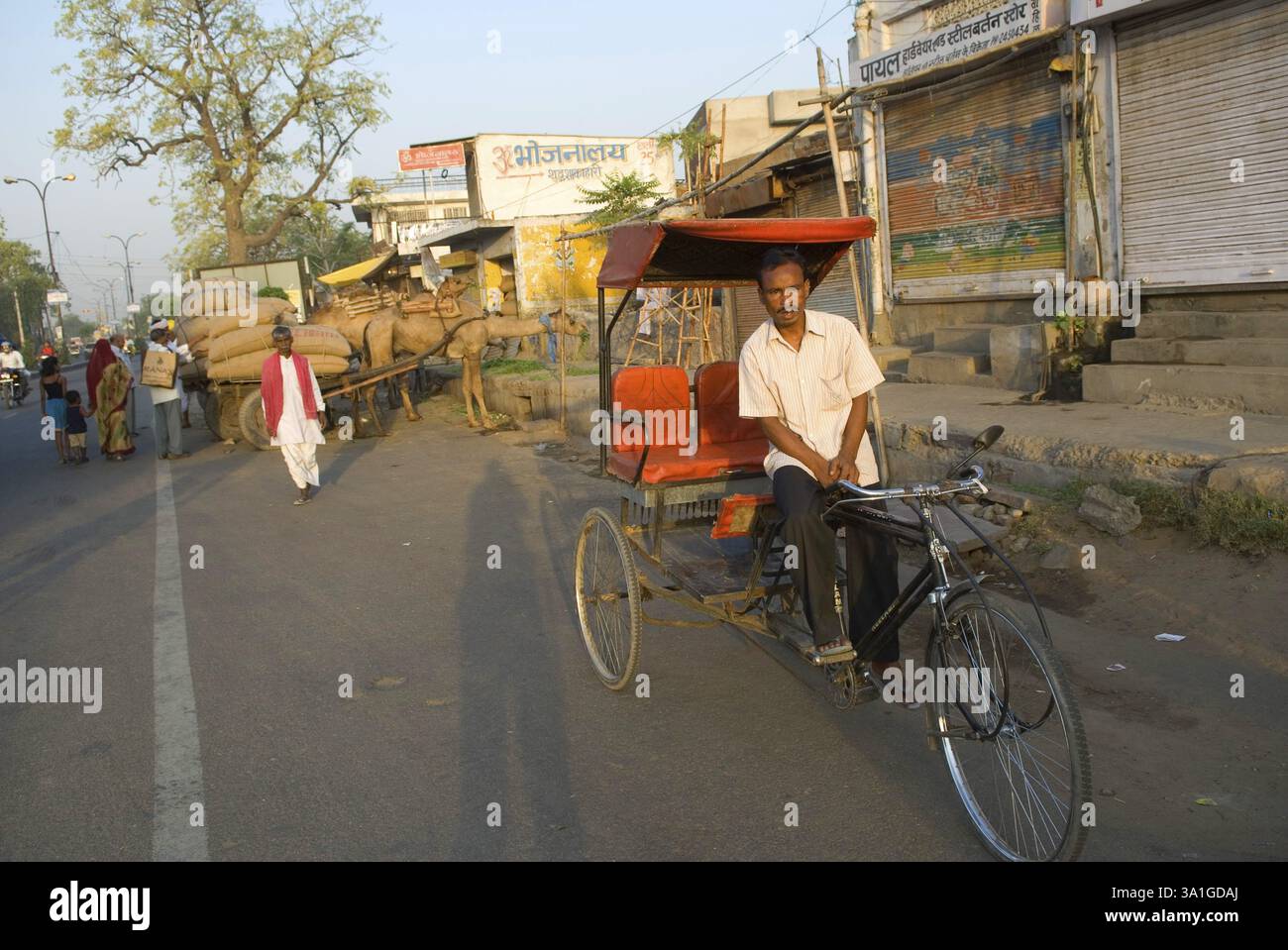 Cycle rickshaw rider street scene, Jaipur, Rajasthan, India, Asia Stock ...