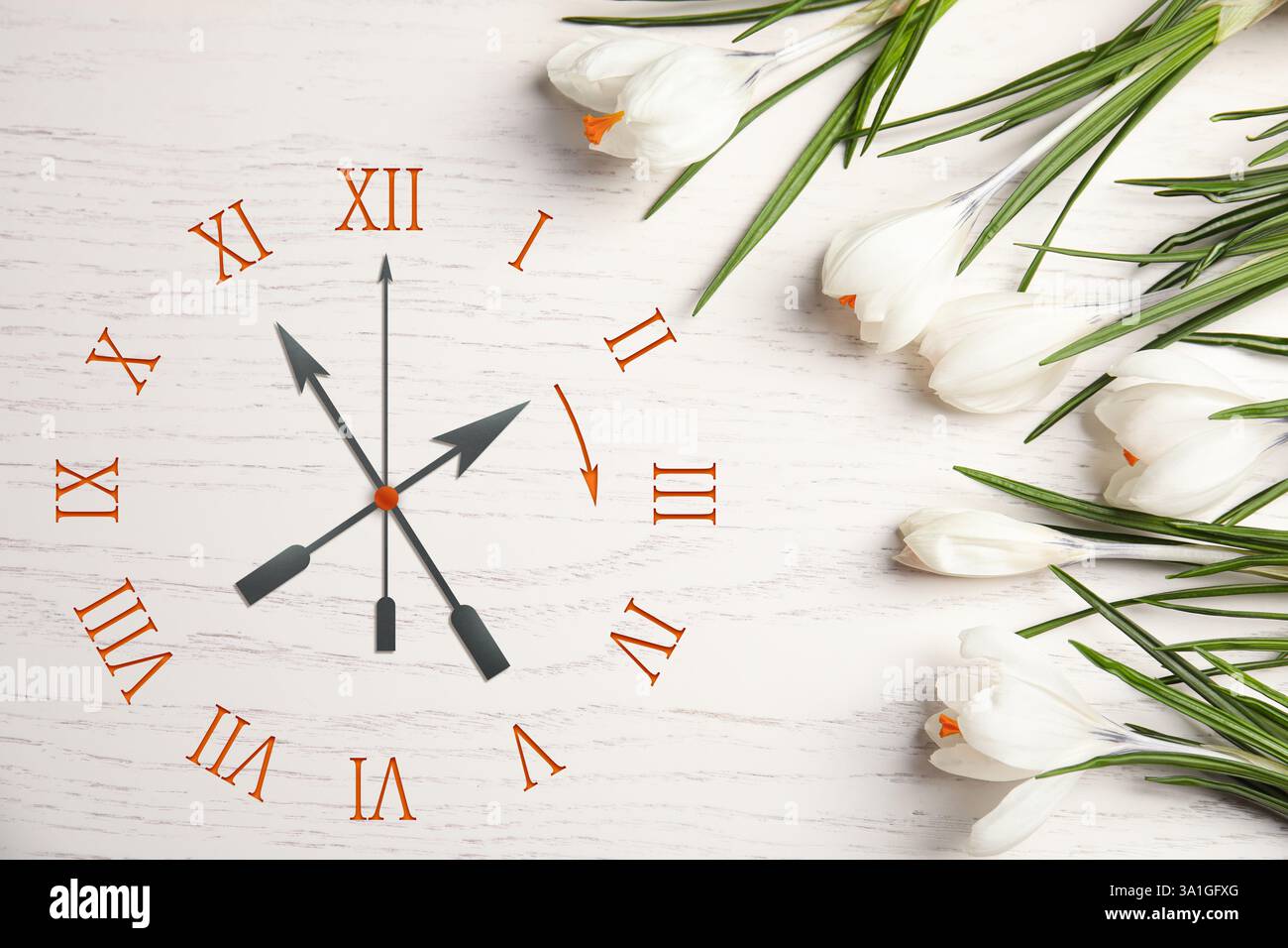 Clock and flowers on white wooden background, top view. Arrow showing ...