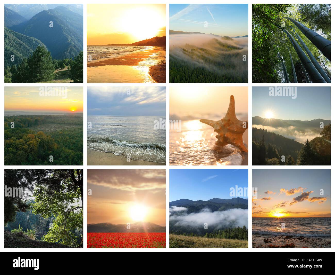 Picturesque nature. Collage with beautiful photos of different ...