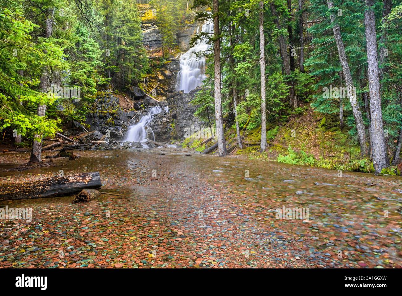 morrell creek falls in lolo national forest near seeley lake, montana ...