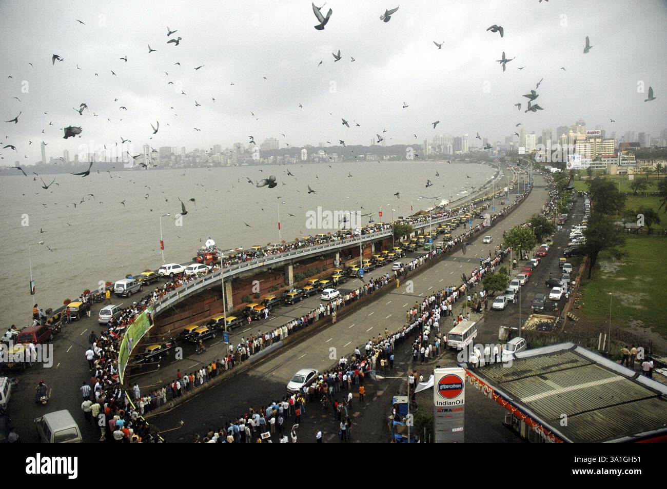 Traffic come to halt at Marine Drive during victory procession of ...