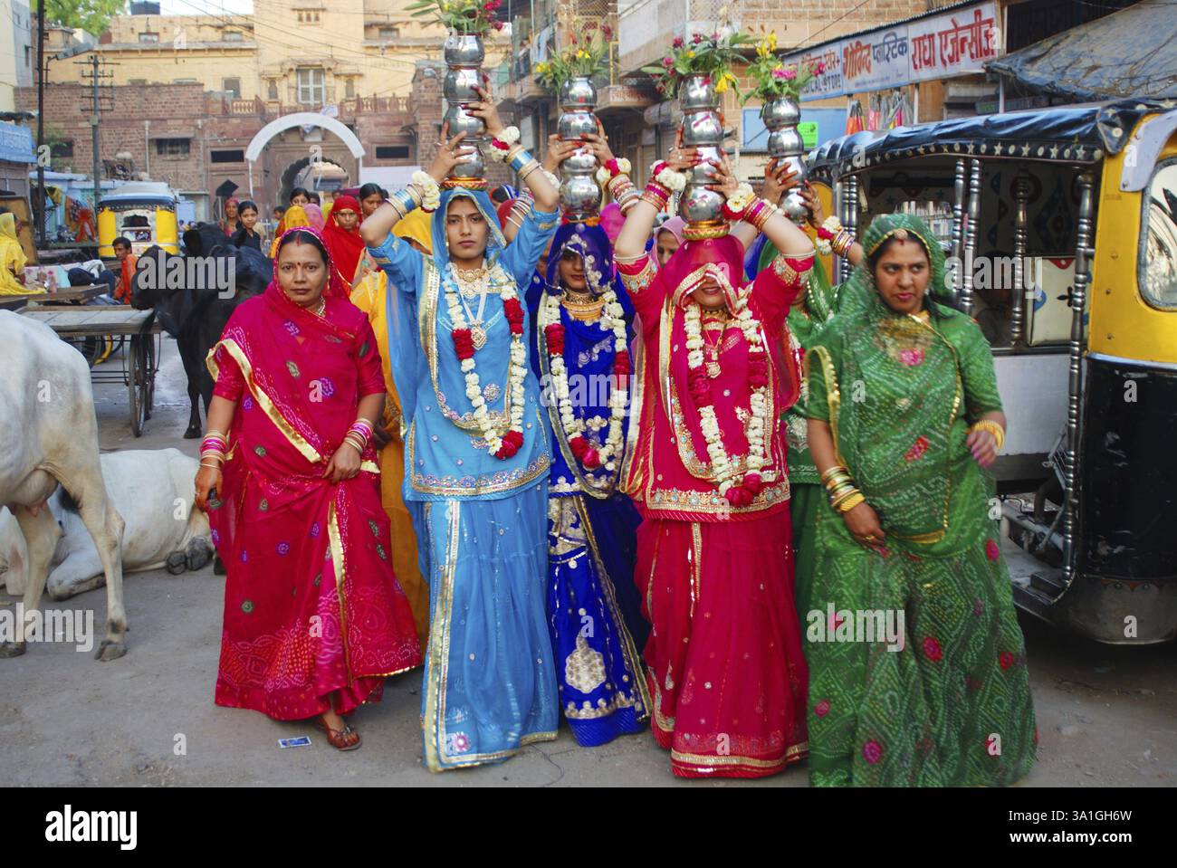 Gangaur festival, Jodhpur, Rajasthan, India, Asia Stock Photo - Alamy