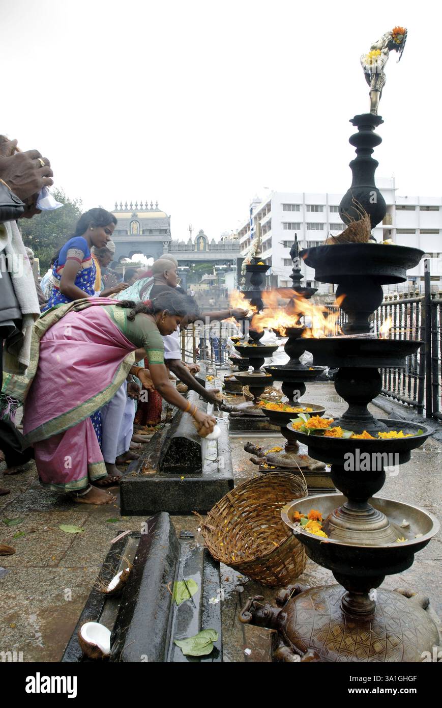 Devotees worshipping and offering coconut, camphor and flowers to Lord ...