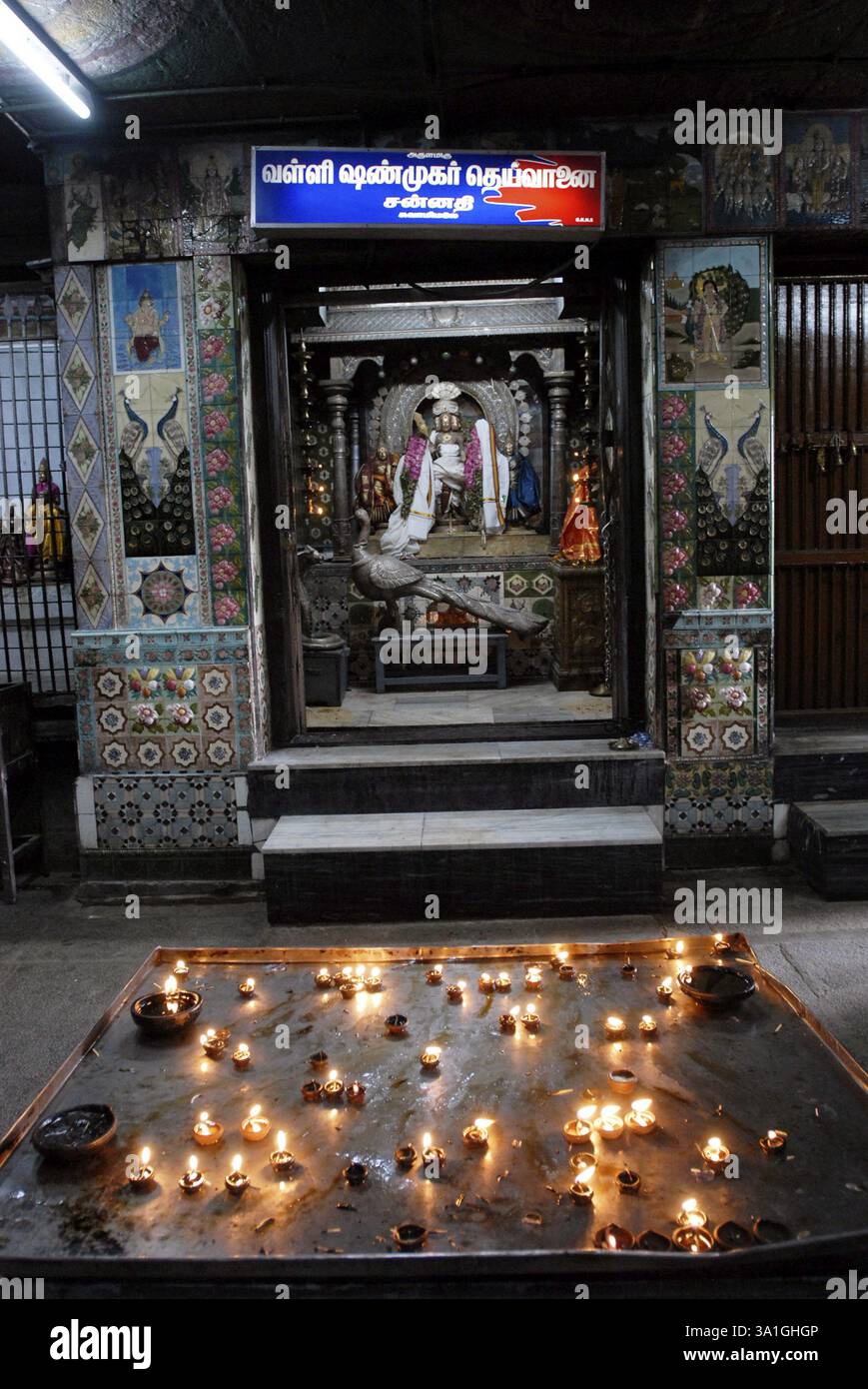 Shanmugar Valli Deivayanai Devasena in Swaminatha Swami temple ...