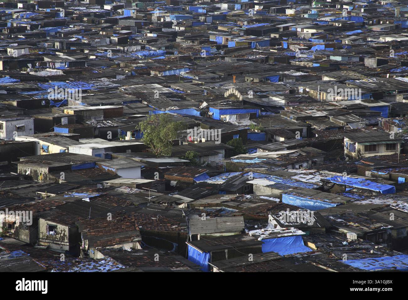 Slum area near Santacruz Airport, Vakola, Bombay Mumbai, Maharashtra ...