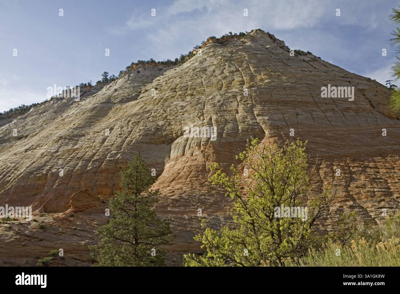 Checkerboard mesa, A prominent naturally sculpted art of horizontal ...