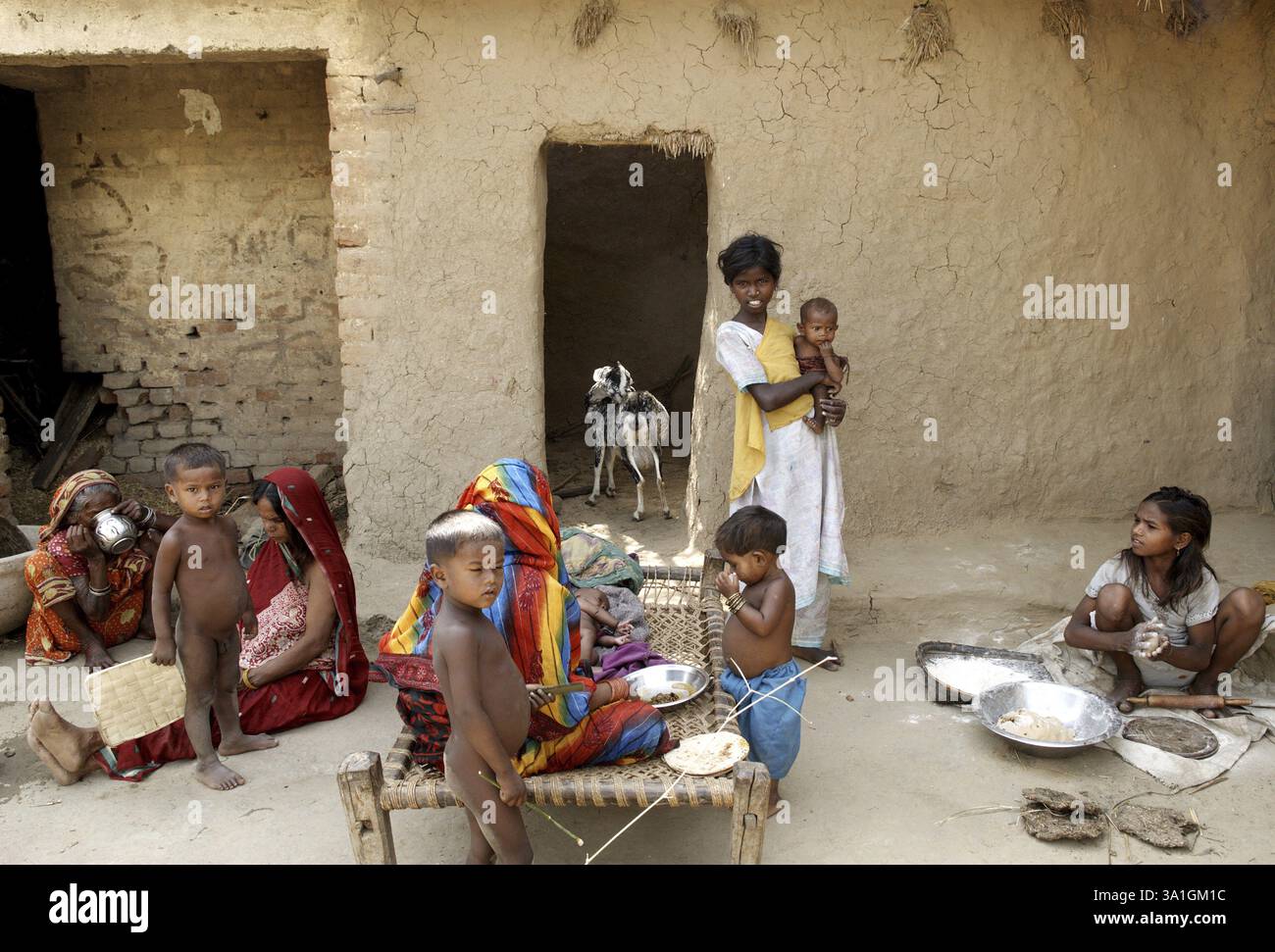 Rural life, Rajouli, Nawada, Bihar, India, Asia Stock Photo - Alamy