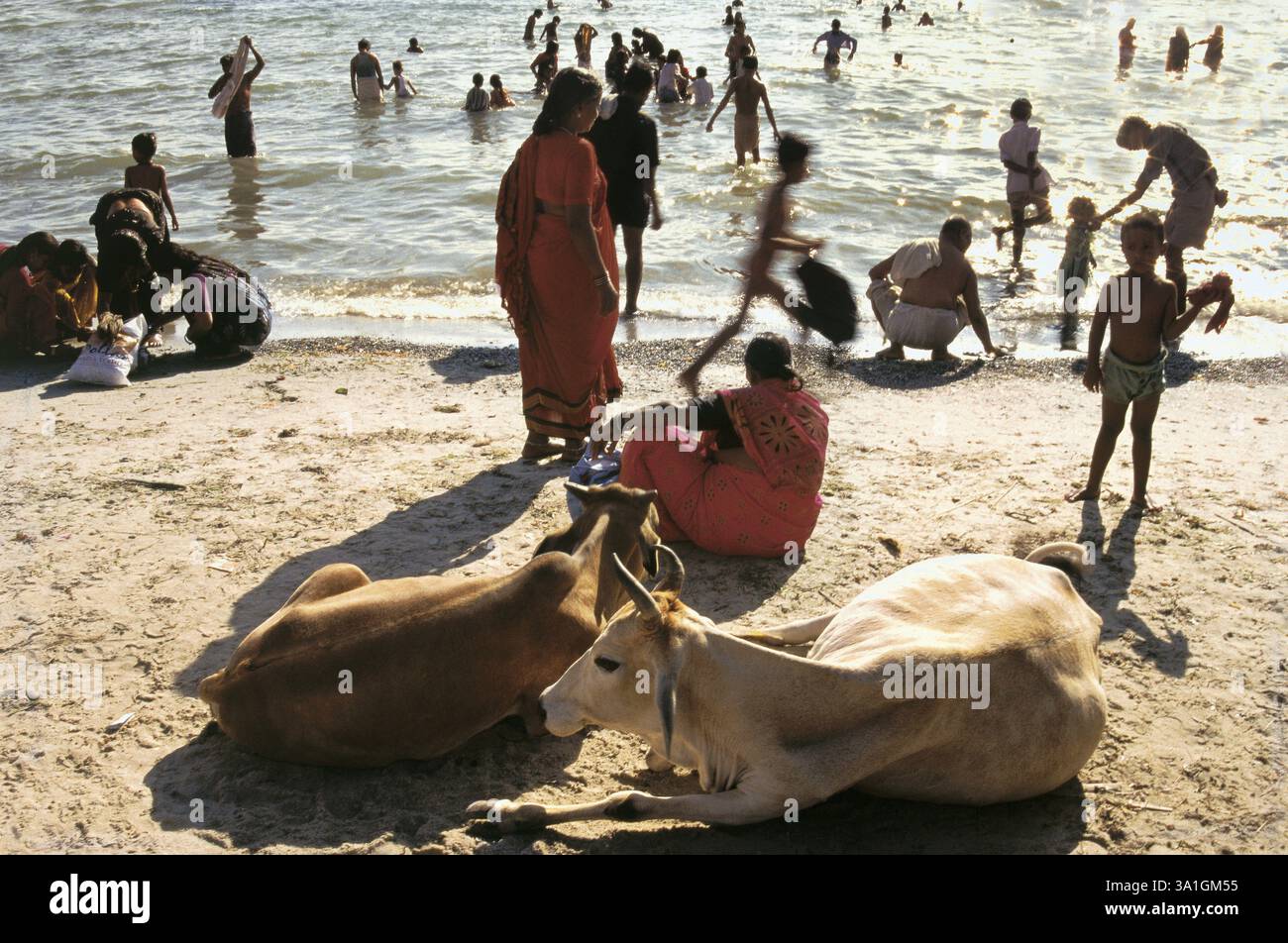 Rameshwaram beach, Tamil Nadu, India, Asia Stock Photo - Alamy
