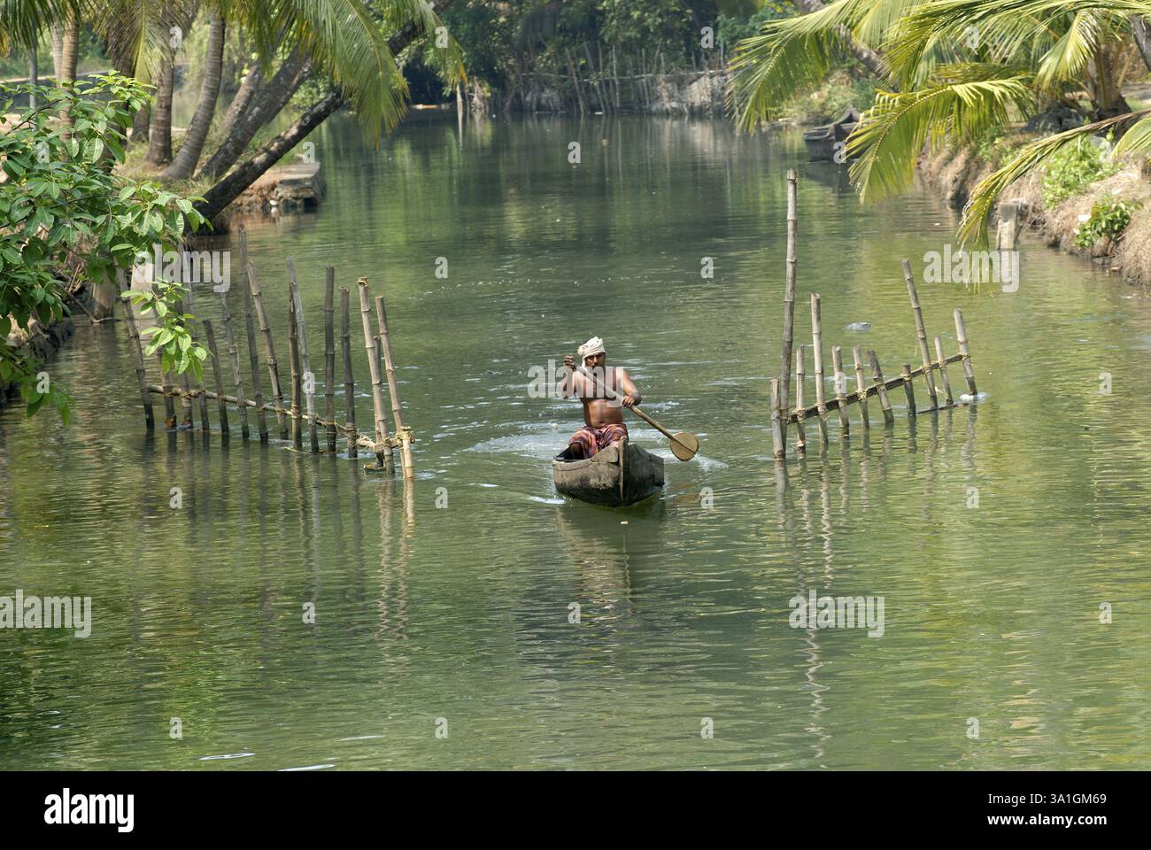 Boating in backwater, Kerala, India, Asia Stock Photo - Alamy