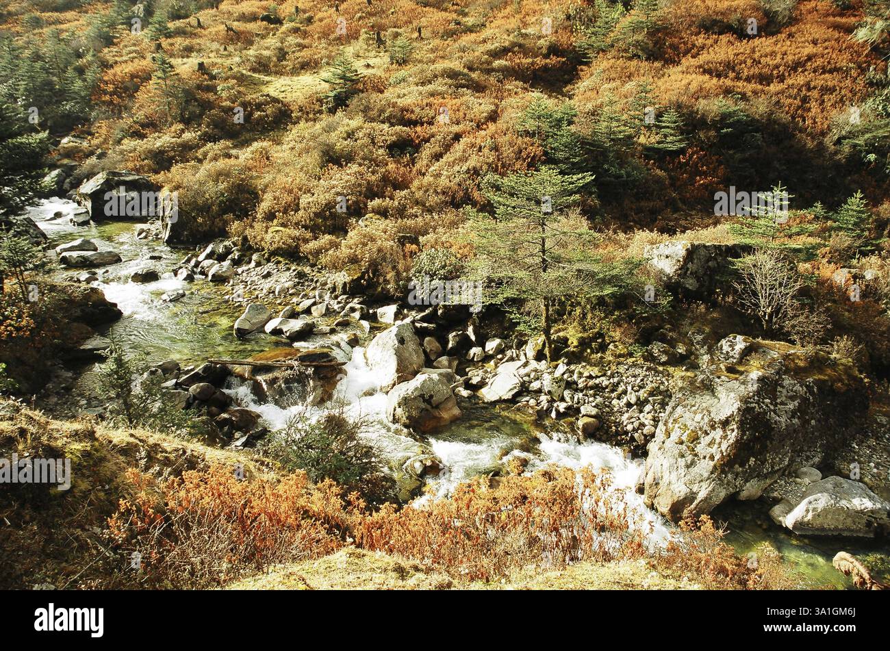 Bird eye view water flow hi-res stock photography and images - Alamy