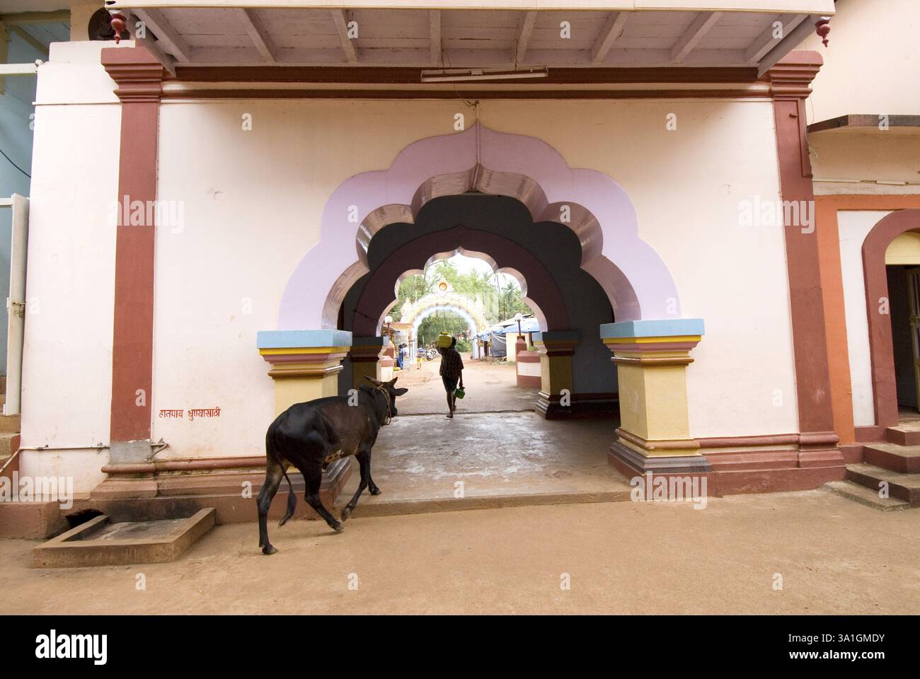 Colourful gate and a cow at temple vetoba king of ghost at village ...