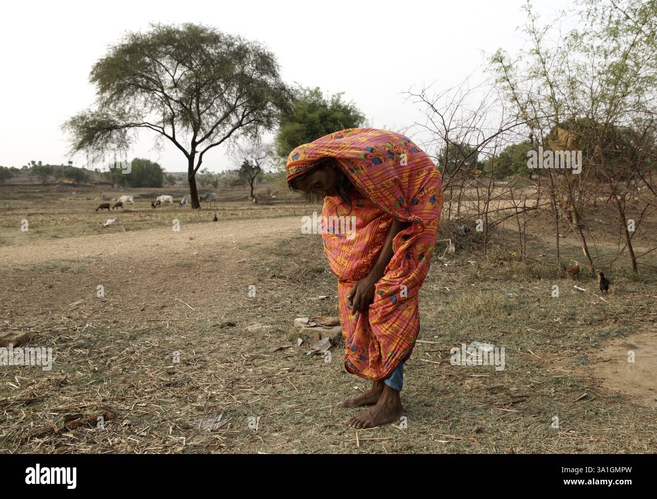 Woman bending down, Garwa and Latehar, Jharkhand, India, Asia Stock ...