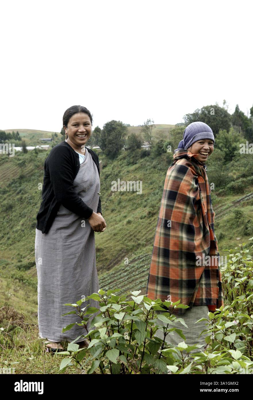 Rural women, the Khasi tribe, Shillong, Meghalaya, India, Asia Stock ...