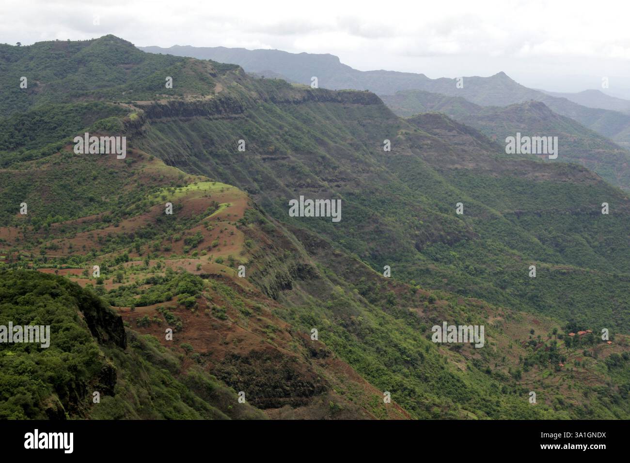 Green landscape of western ghats from Pratapgad massive fort 25 kms ...