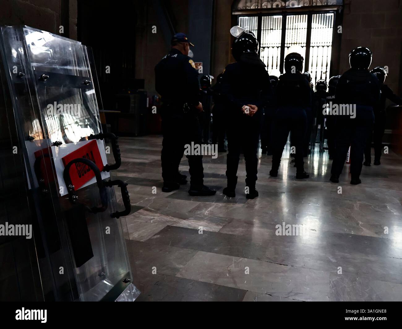 Mexico City, Cdmx, Mexico. 8th Mar, 2025. Female police officers from ...