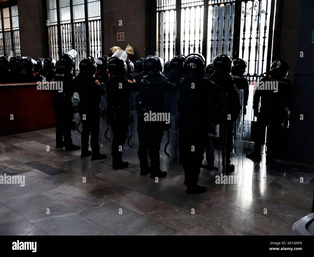 Mexico City, Cdmx, Mexico. 8th Mar, 2025. Female police officers from ...
