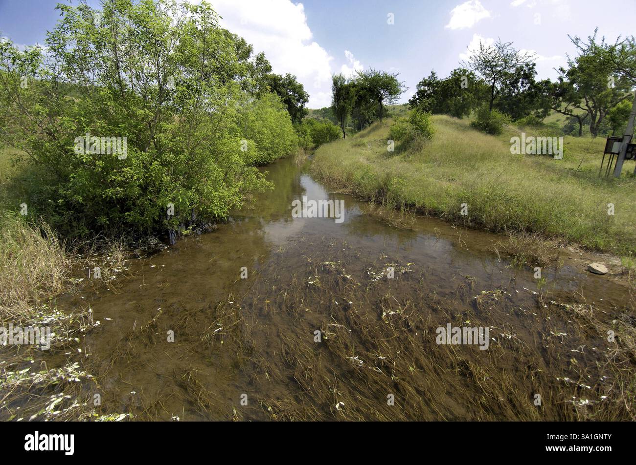Percolate water coming from the tank for irrigation at Ralegan Siddhi ...