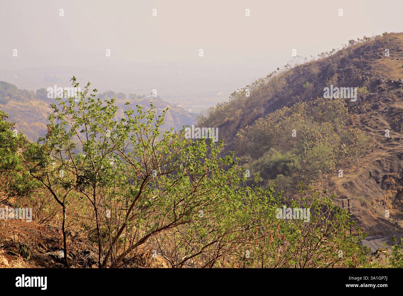 Hill, Western Ghat, Virar, Bombay now Mumbai, Maharashtra, India, Asia ...