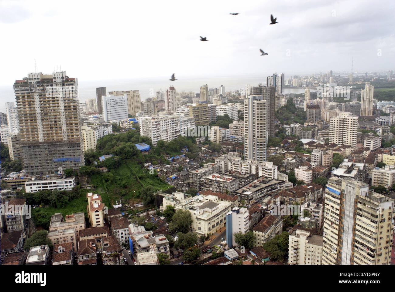 An aerial view of Grant road, Bombay Mumbai, Maharashtra, India, Asia ...