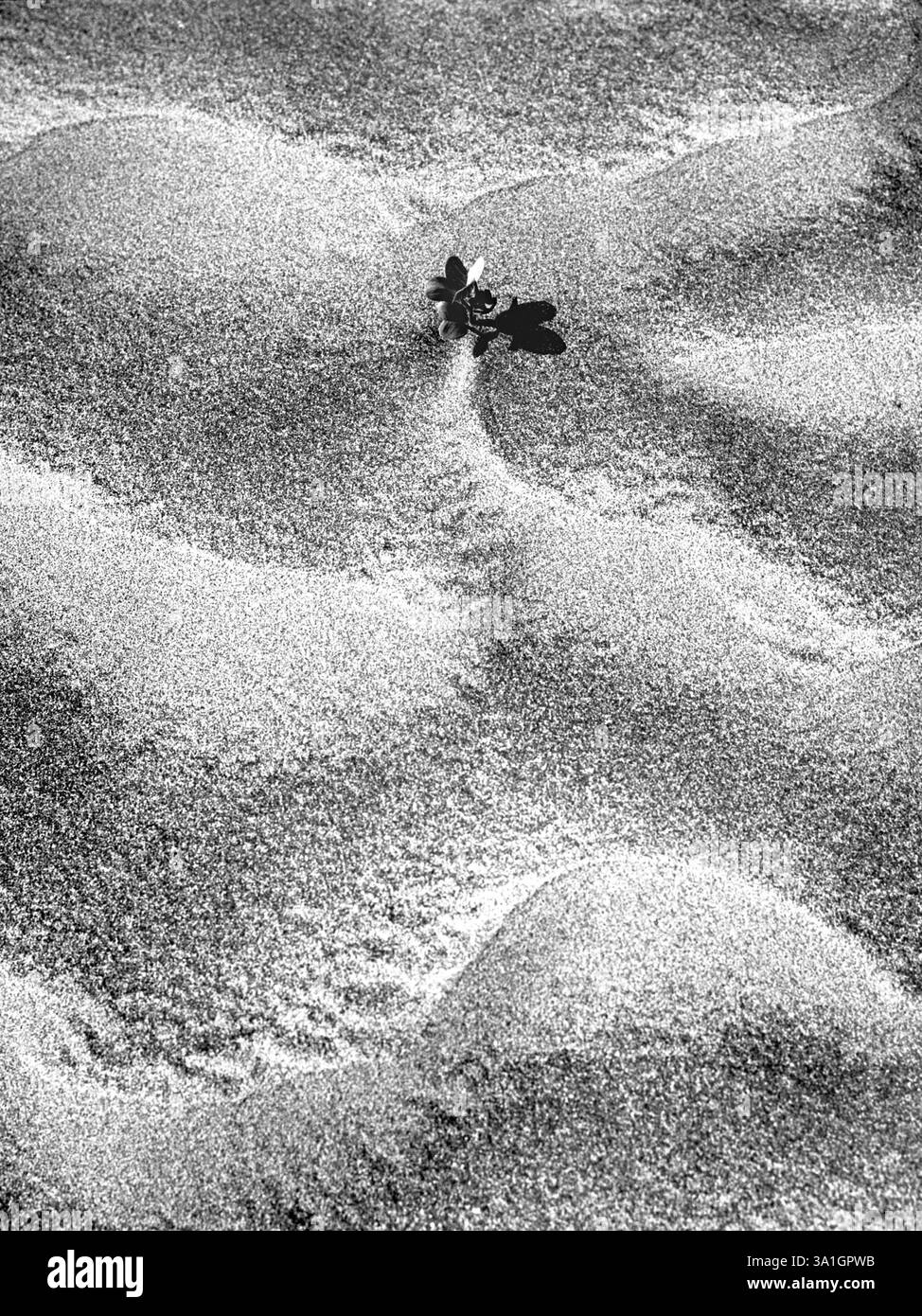 Sand designs Black and White Stock Photos & Images - Alamy