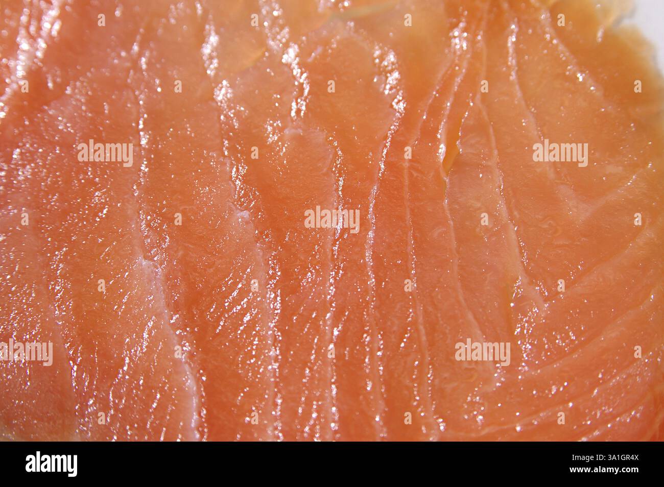 Non vegetarian Food, Fish Smoked Salmon (Rokt Lax in Swedish) surface ...