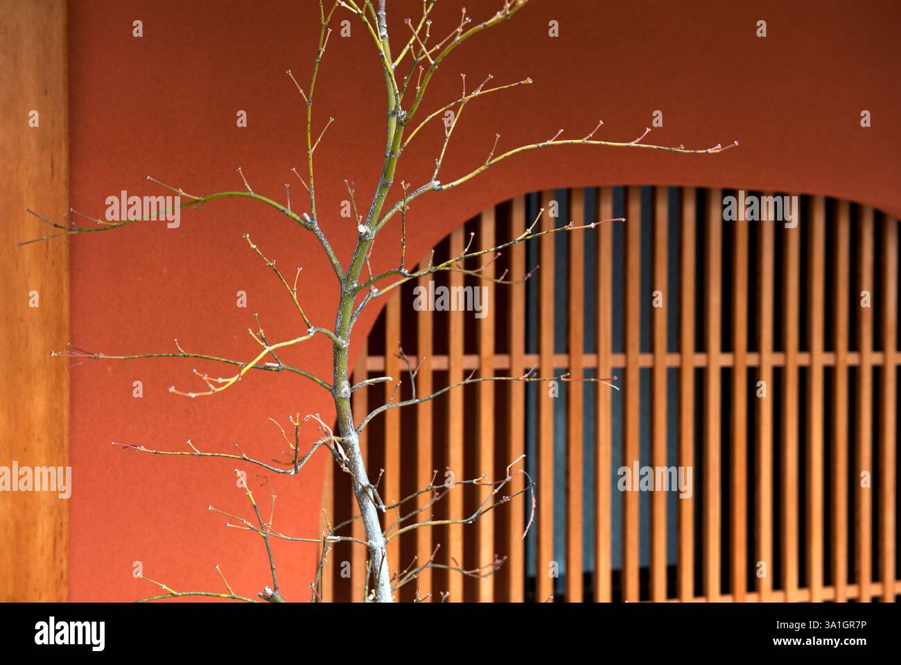 Kyoto machiya townhouse in Miyagawa-cho uses traditional architectural ...