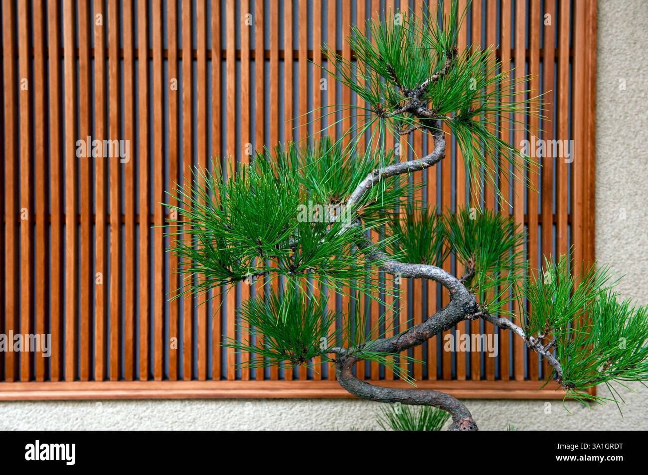 Kyoto machiya townhouse in Miyagawa-cho uses traditional architectural ...