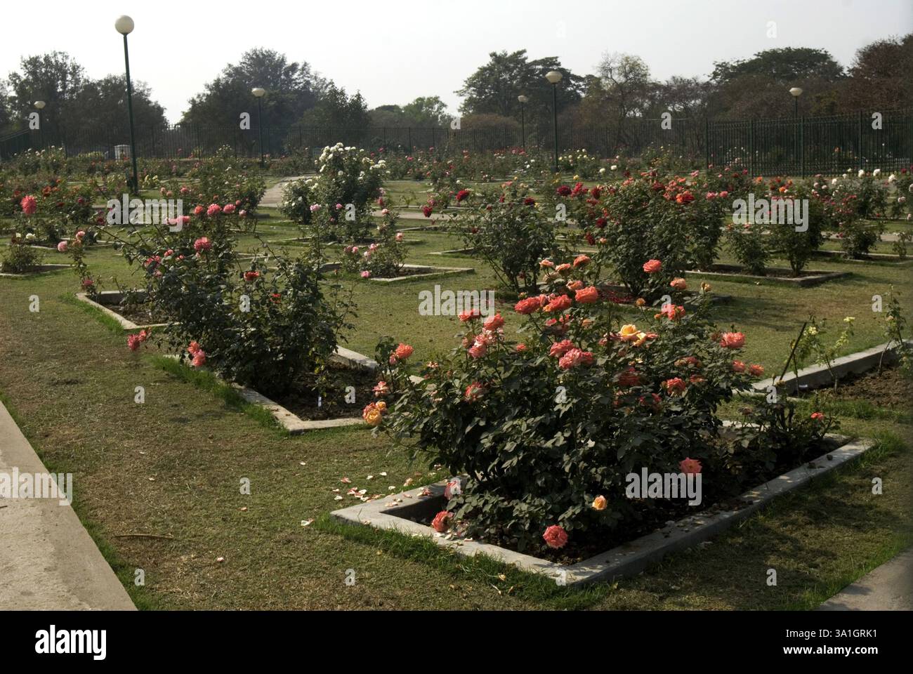 Sir Dorabji Tata park in Jamshedpur, Bihar, India, Asia Stock Photo - Alamy