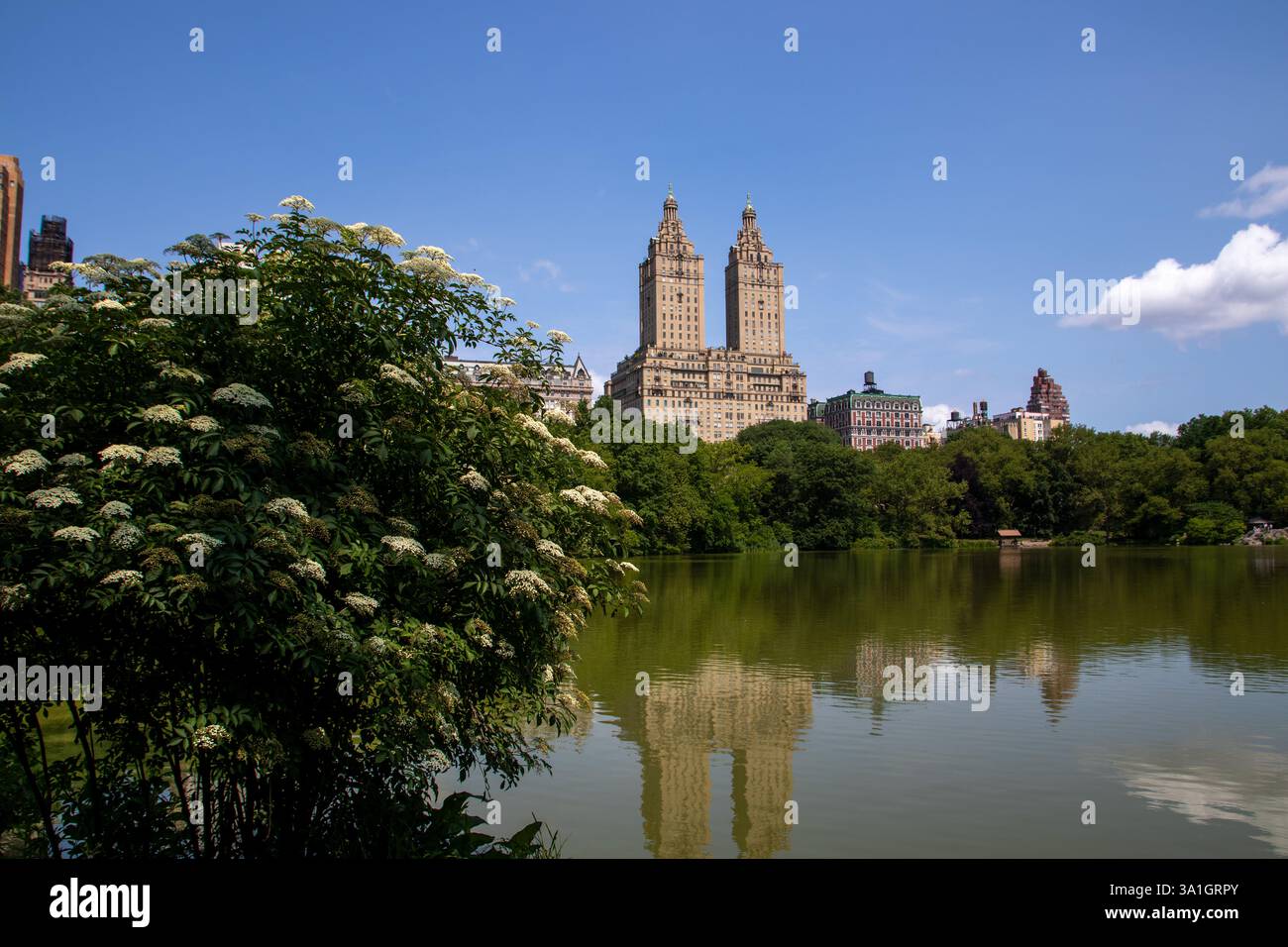 El Dorado building taken from Central Park, New York Stock Photo - Alamy
