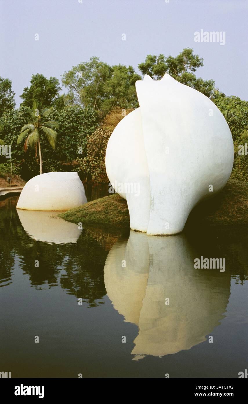 Conches in pond, garden, Trivandrum, Tamil nadu, India, Asia Stock ...