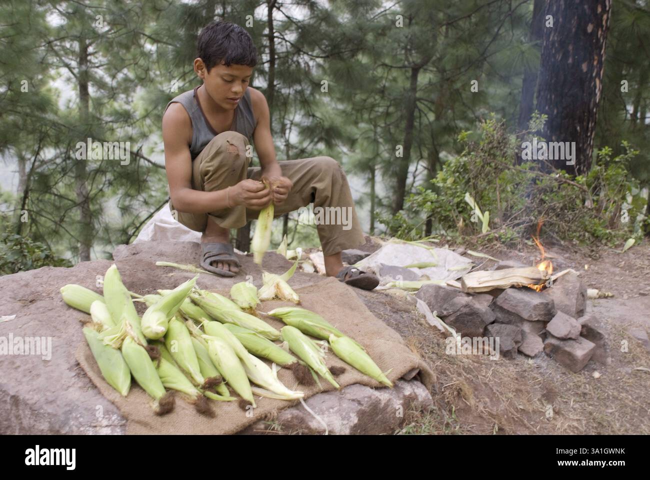 Street vendor selling corn Shimla, Himachal Pradesh, India, Asia Stock ...