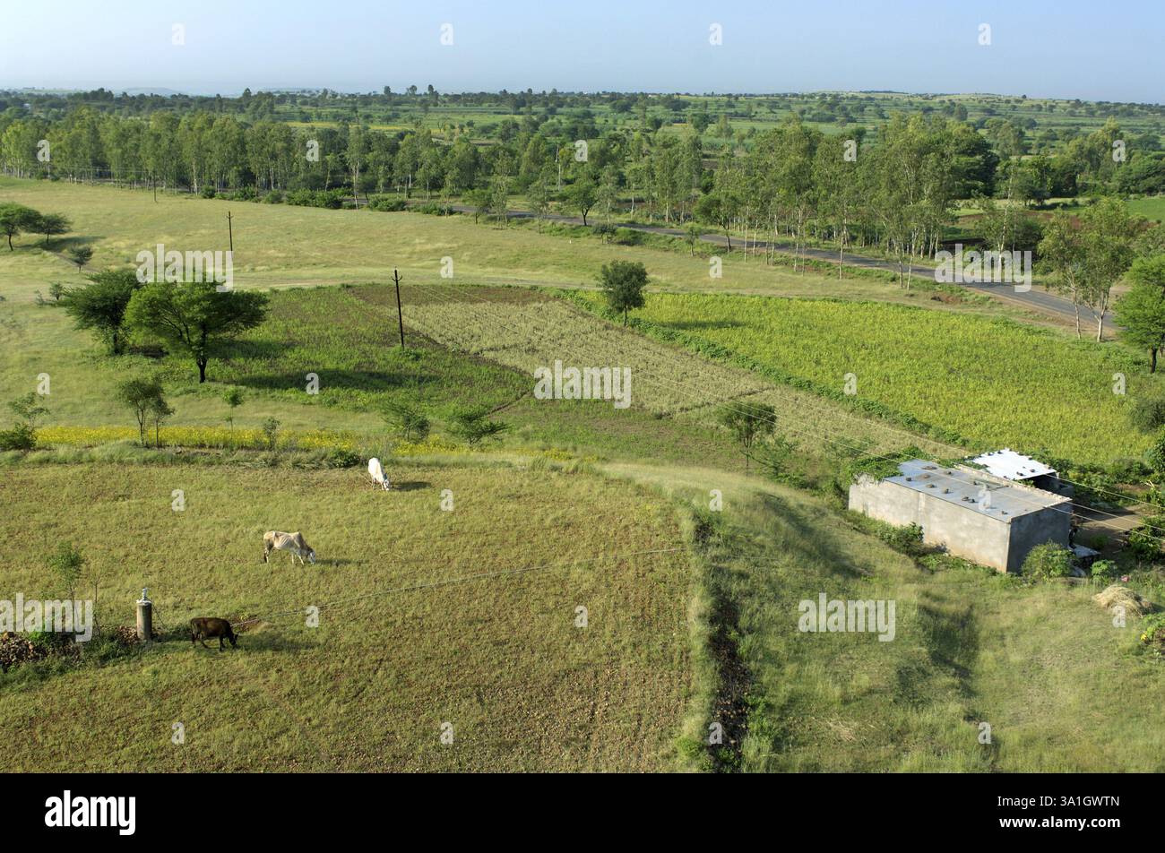 Aerial view of the fields from the water tank top at Ralegan Siddhi ...