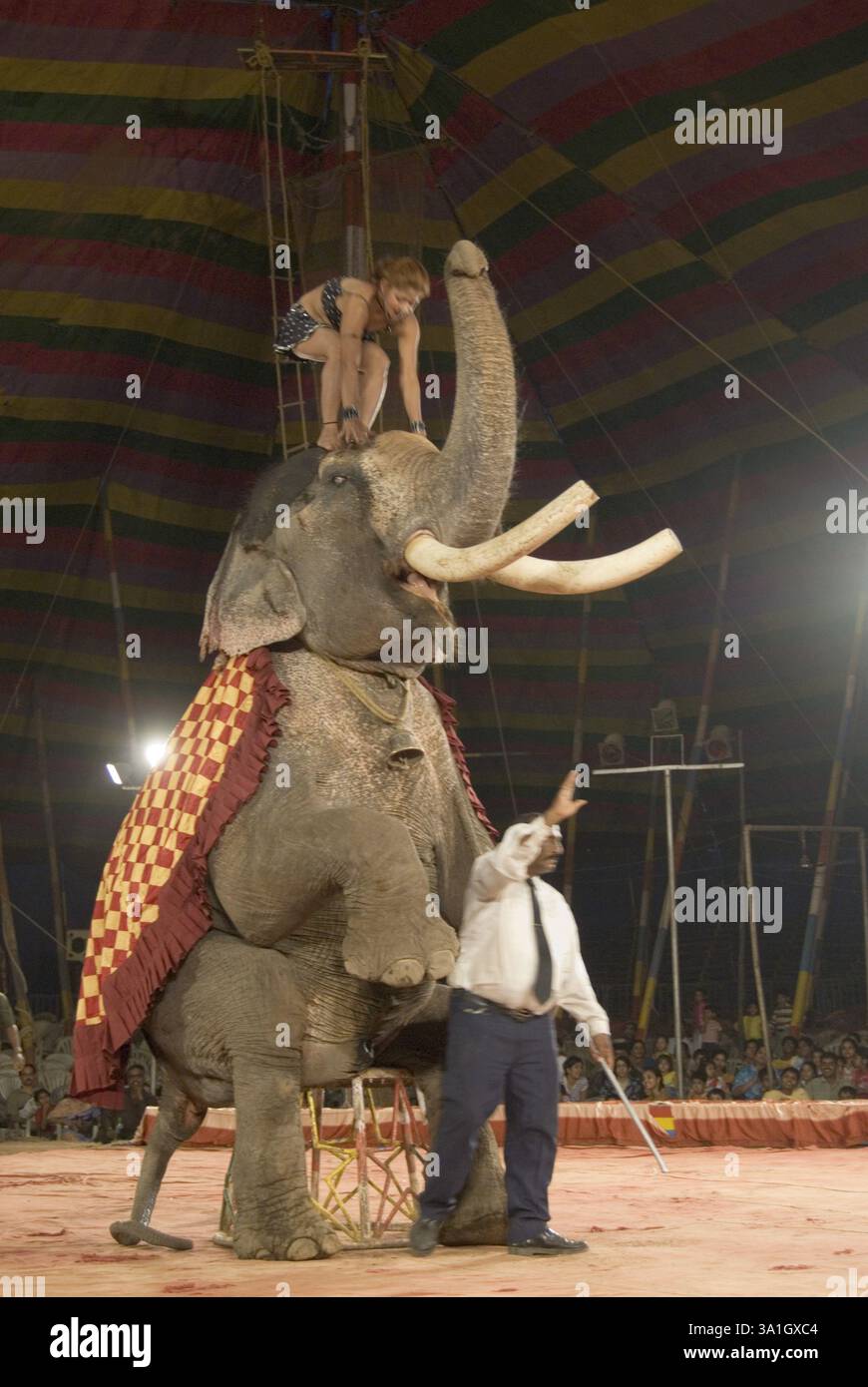 Artist performing show with elephant in Empire Circus, Bombay Mumbai ...