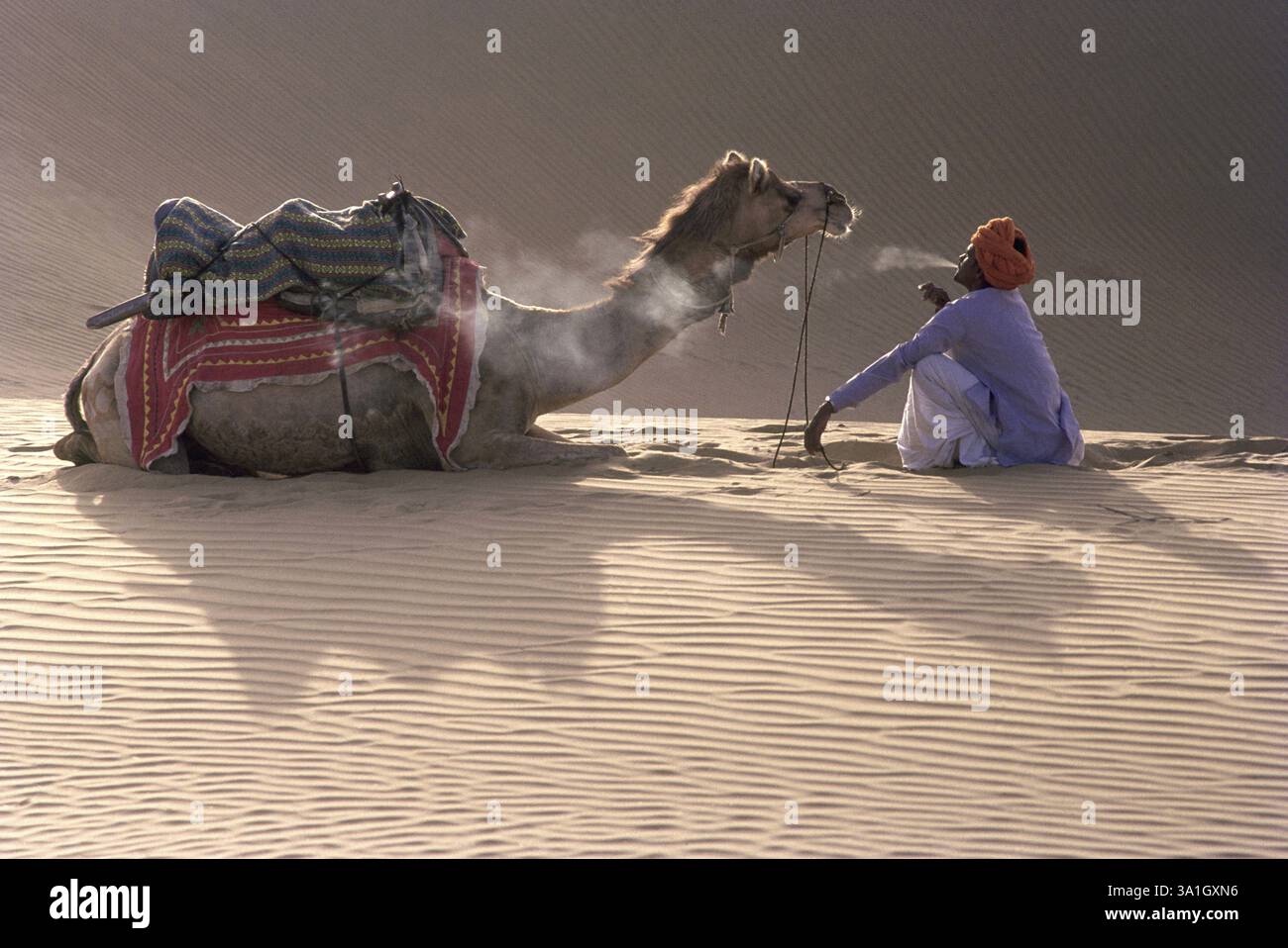 Rajasthani man smoking sitting in front of camel resting in desert ...