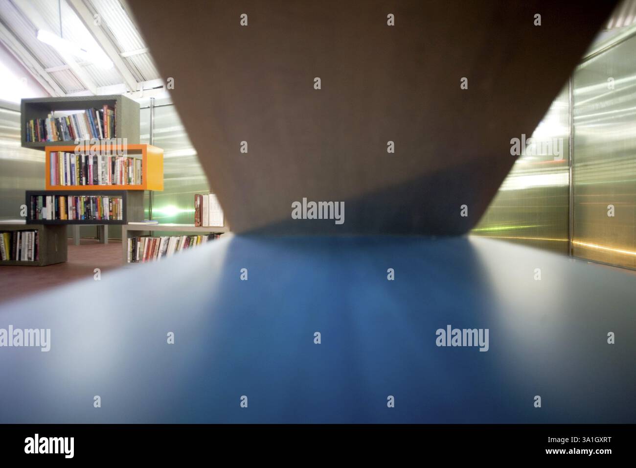 Books library installation by Bose Krishanamachari, Lava kashi art ...