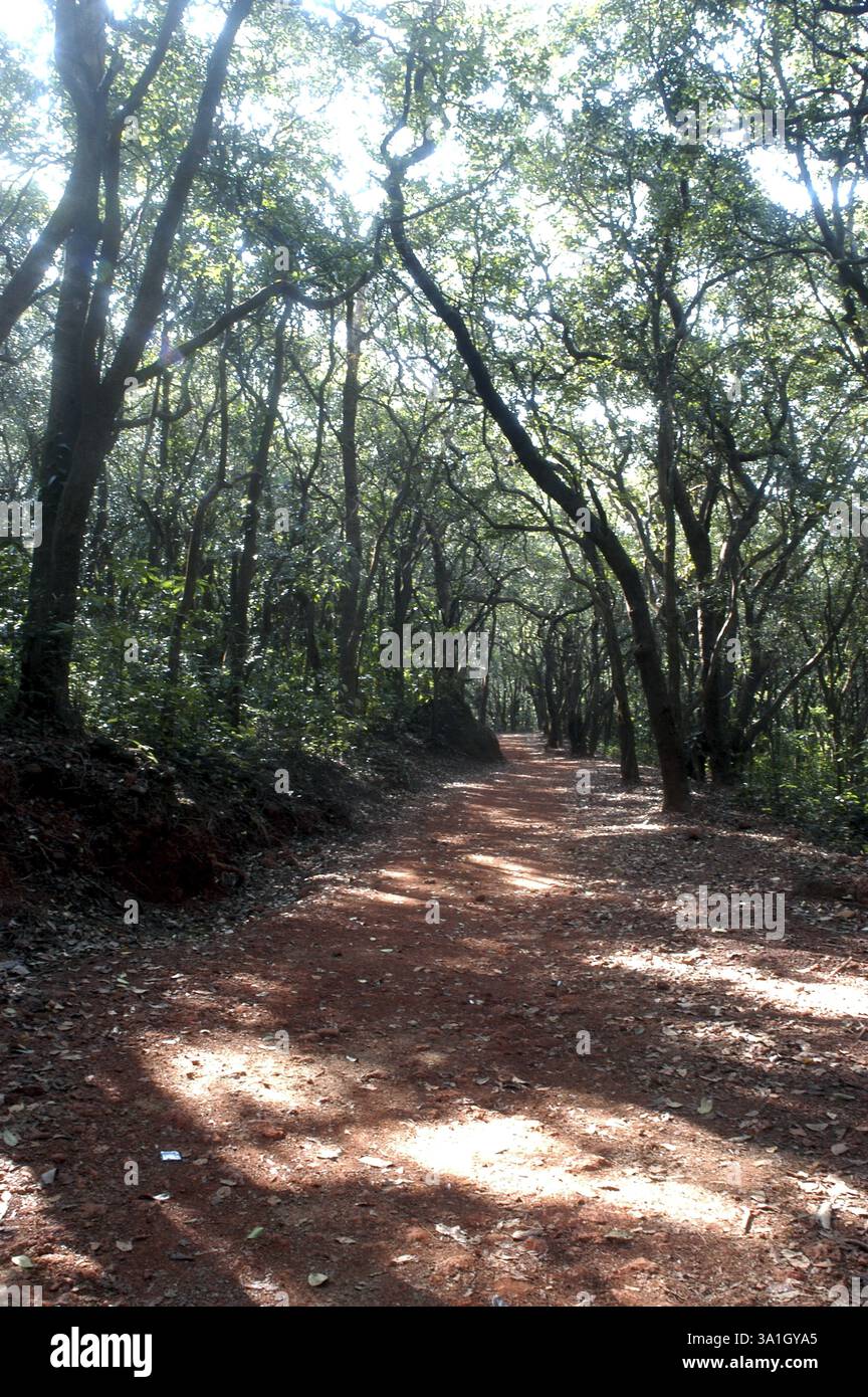 The path leading to various points in Matheran, Maharashtra, India ...