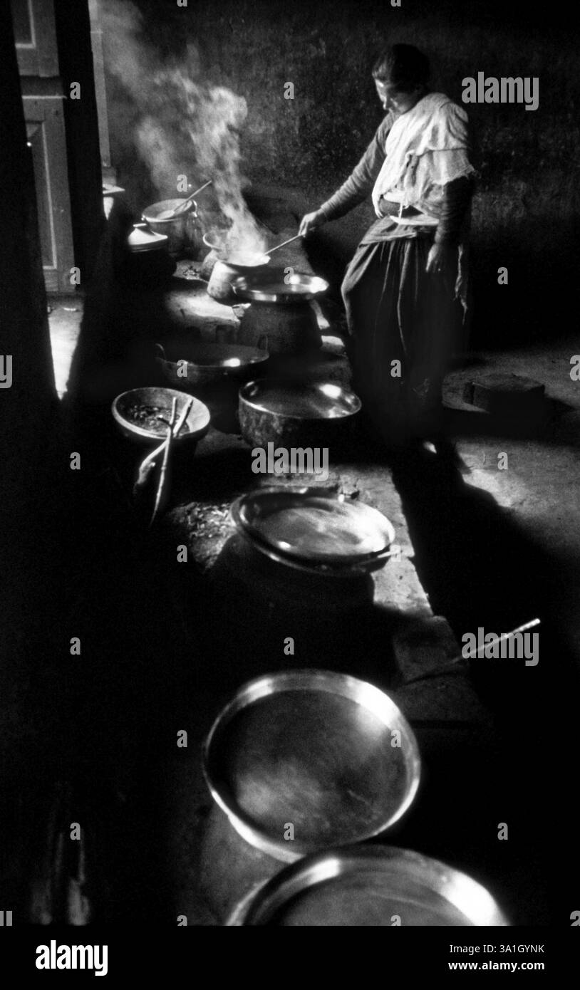 Woman cooking food in kitchen, India, Asia Stock Photo - Alamy