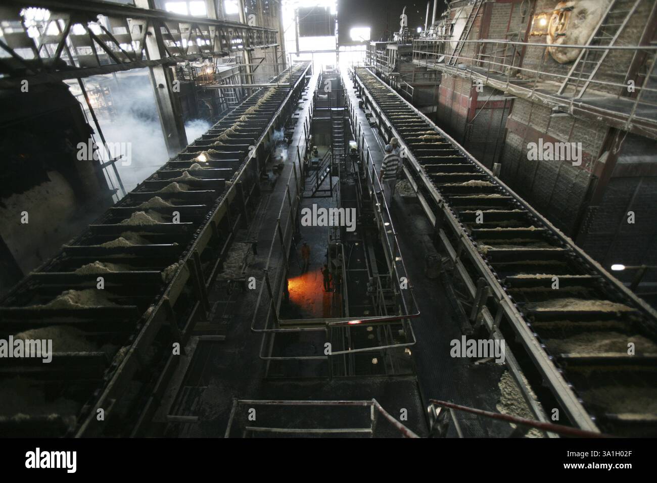 The left over sugar cane on the conveyor belt at the sugar factory in ...
