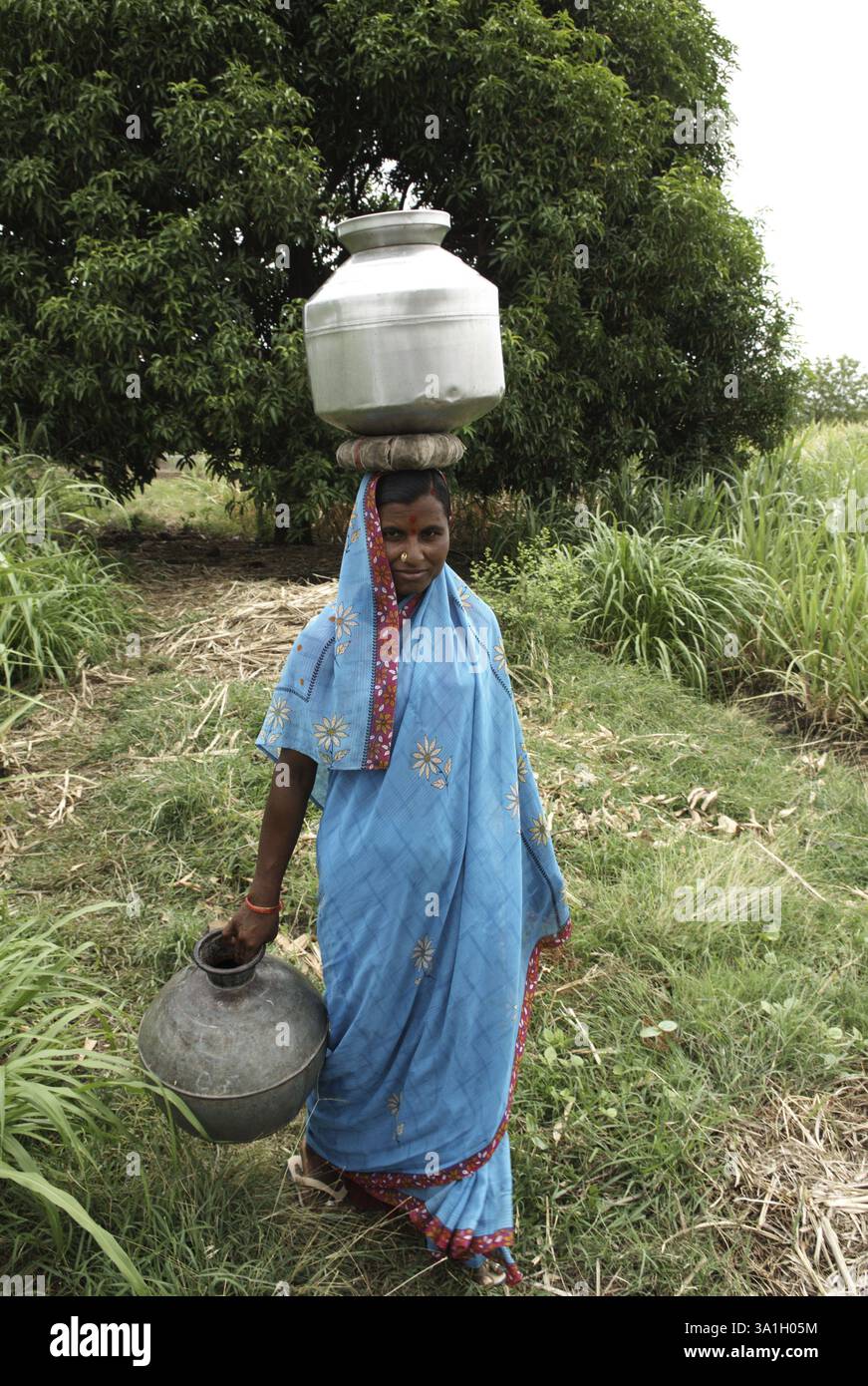 Rural woman carrying water pot, Marathwada, Maharashtra, India, Asia ...