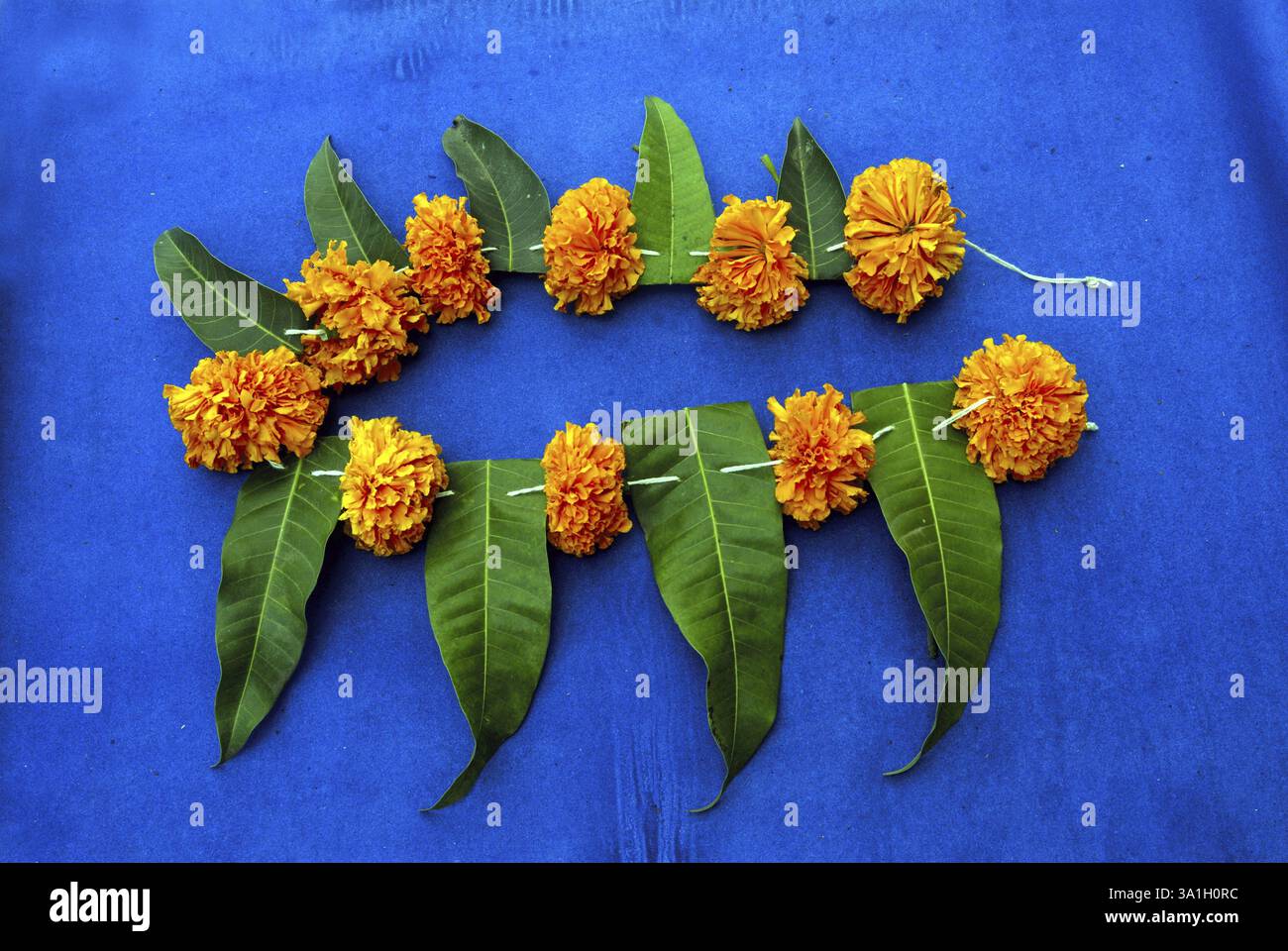Mango leaves on door hi-res stock photography and images - Alamy