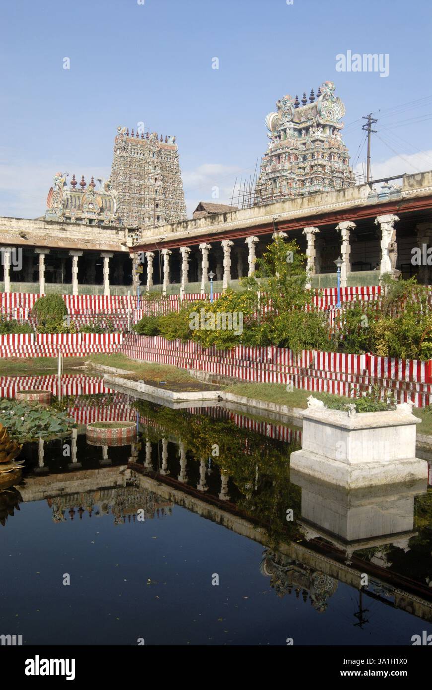 Golden Lotus tank at Shree Meenakshi Sundareswarar temple, Madurai ...