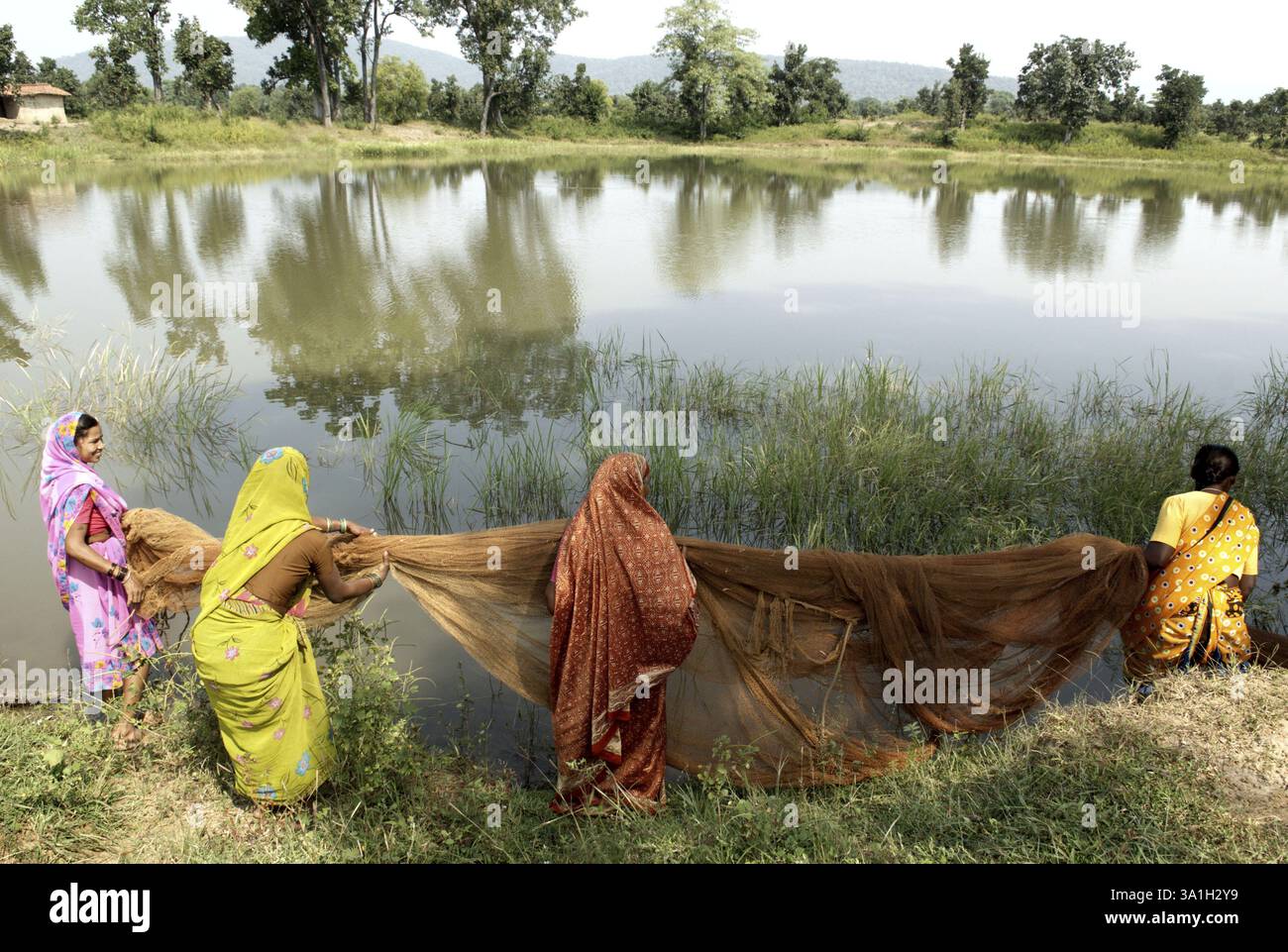 Women engage in fishing activity, Carm Daksh, Bilaspur, Chhattisgarh ...
