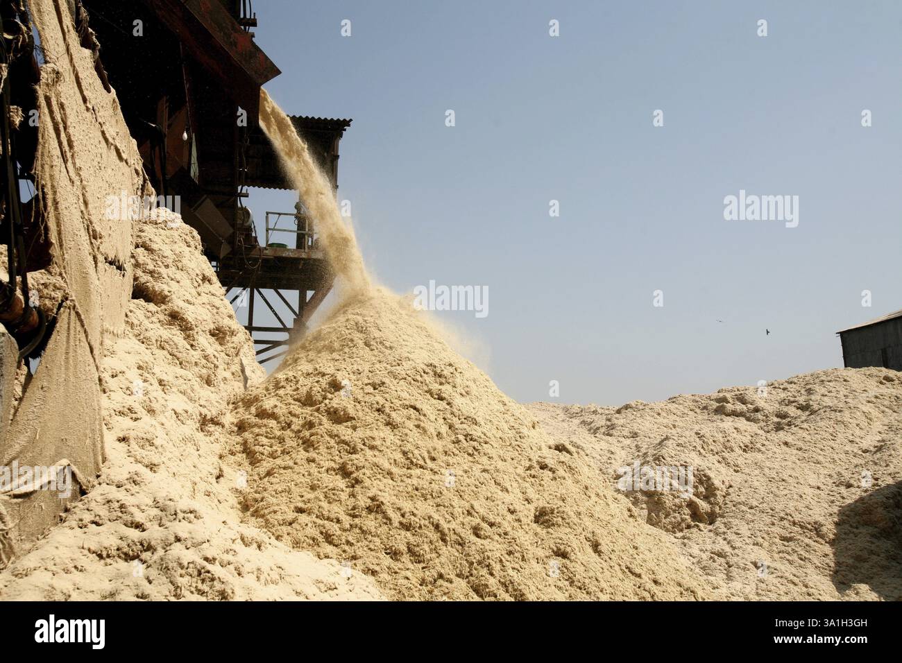 The remains after the sugarcane is crushed are thrown out at the sugar ...