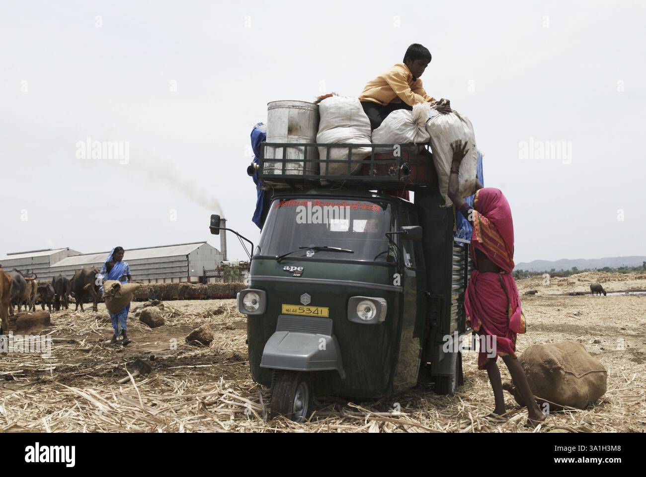 Migration due to water scarcity, Beed, Maharashtra, India, Asia Stock ...