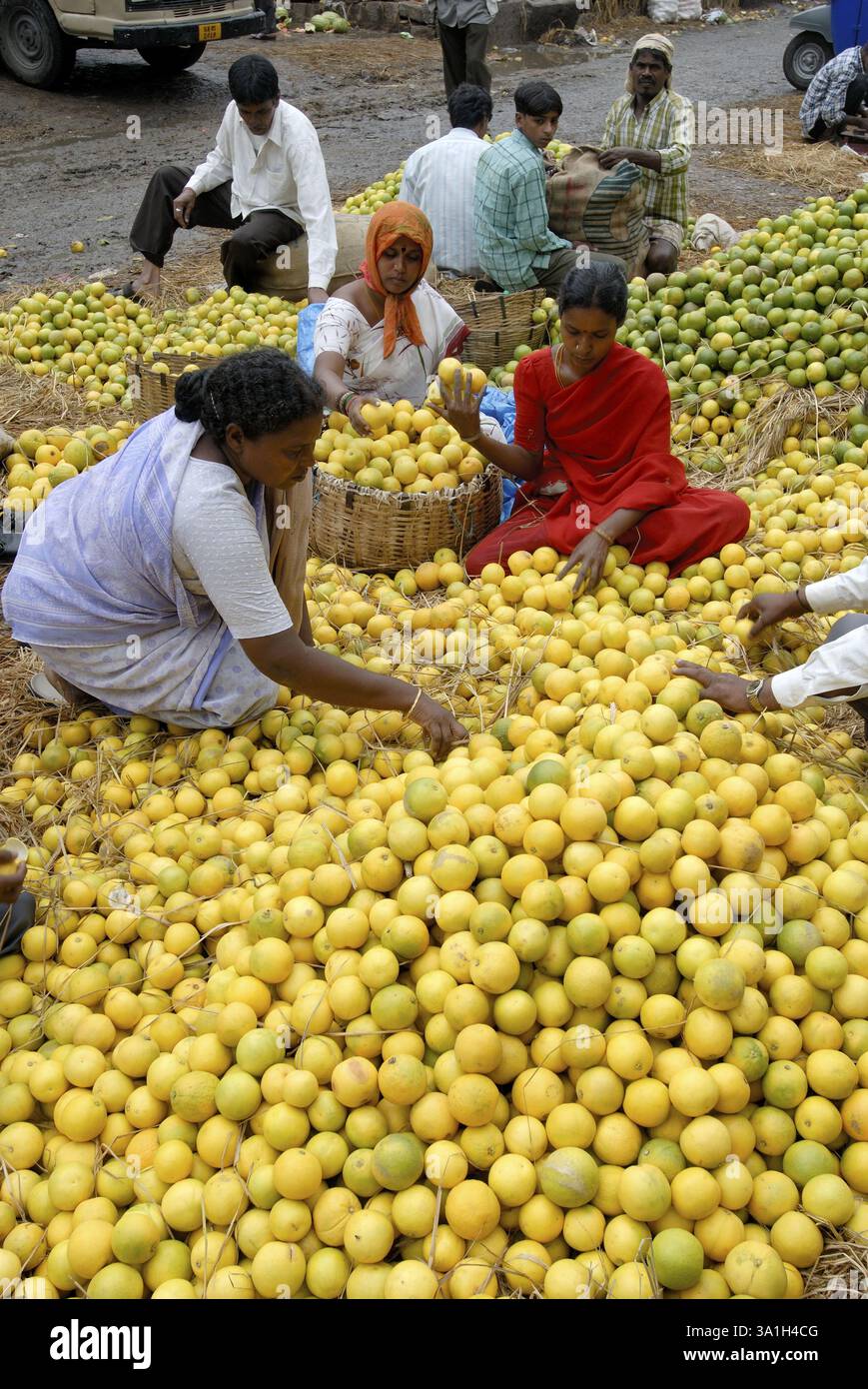 City fruits and vegetables market, Bangalore, Karnataka, India, Asia ...