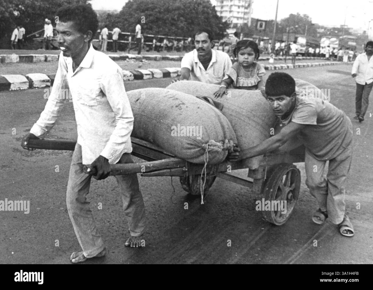 Men carrying load on hand cart, India, Asia Stock Photo - Alamy