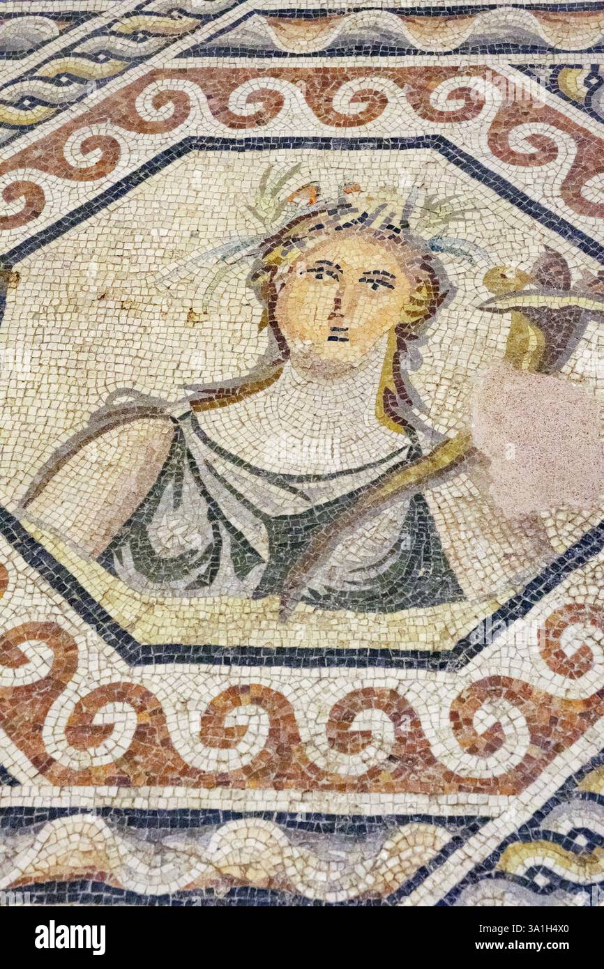 Gaziantep, Turkey, Turkiye. Zeugma Mosaic Museum, Demeter, Goddess of ...