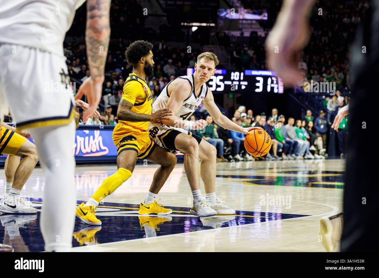 March 08, 2025: Notre Dame guard Matt Allocco (41) backs down ...