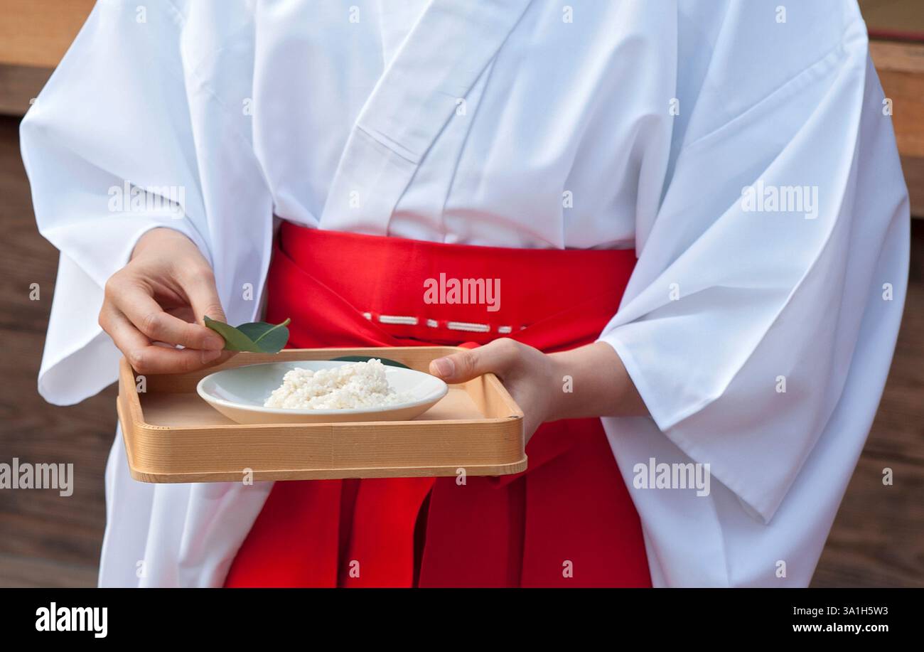 A miko shrine maiden dressed in red and white attire holds sakaki ...